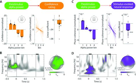 Prestimulus Alpha Power Relates To Confidence And Auditory Evoked Phase Download Scientific