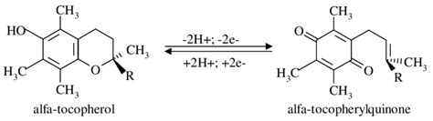 α Tocopherol Acting As A Chain Breaking Anti Oxidant Download
