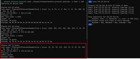 Building A Simple Network Protocol Analyzer In Rust X A A