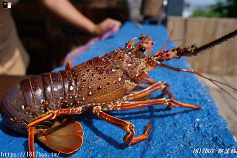 【新北。貢寮】懸崖上的秘境創意料理。cilah 海的味道 採預約制）。坐擁無敵海景。遠望龜山島 1817box部落格