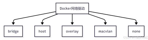 【docker基础】docker容器间通信：dns解析与别名机制详解 docker dns csdn博客