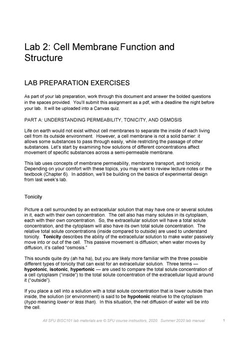 Lab Prep Cell Membrane Structure And Function Lab Cell Membrane Function And Structure LAB