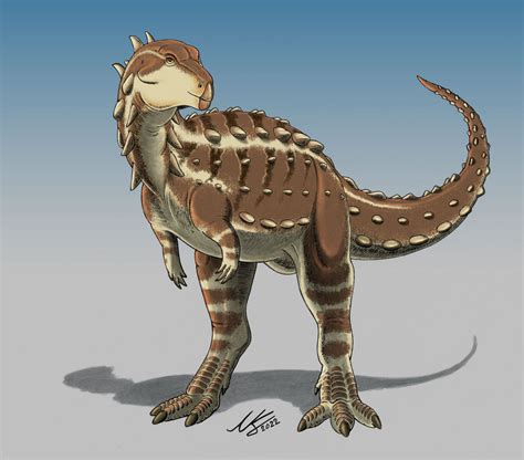 Jakapil Kaniukura By Nkourk On Deviantart