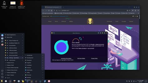 Penetration Testing Ethical Hacking Privacy Hardening And Secure Anonymized Linux