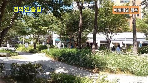 여름의 끝자락 공덕역주변 경의선 숲길 Youtube