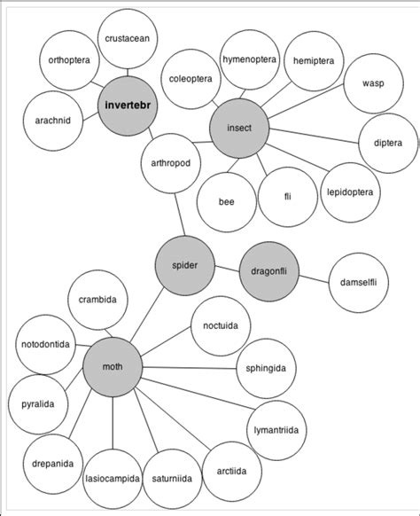 An Example Of Folksonomy Adapted From [15] Download Scientific Diagram