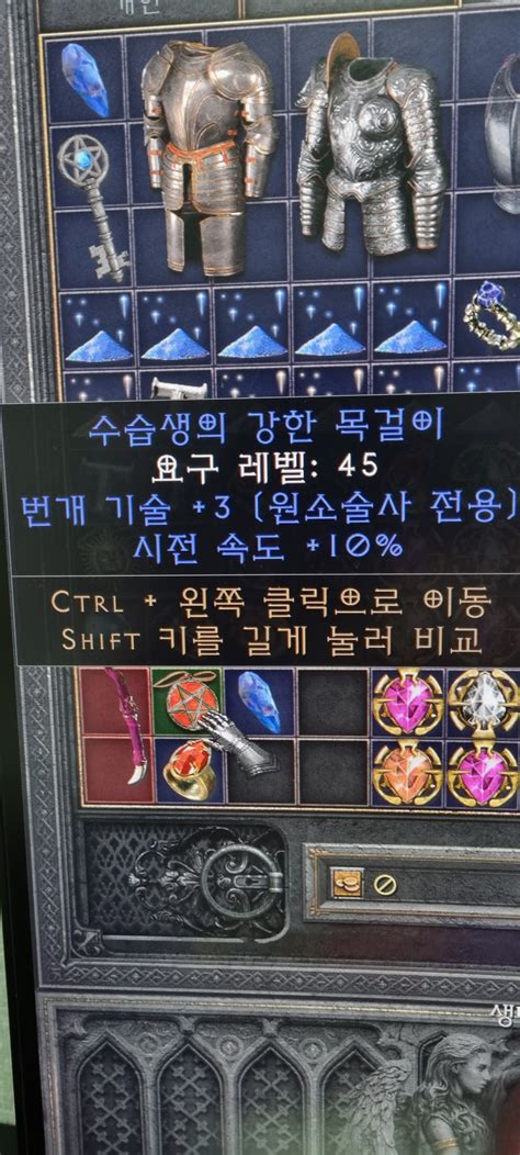매직목걸이 봐주세요 디아블로2 득템and자랑 게시판 디아블로2 인벤