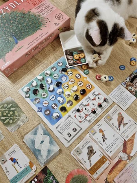 Na Skrzydłach Ptaki Azji Brodaty Boardgames