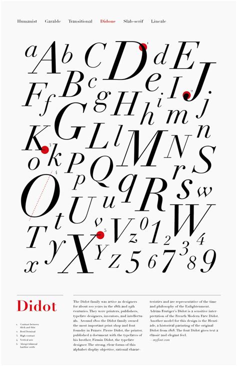 Type Classifications Poster Series 1