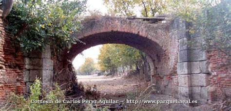 El Real Canal Del Manzanares Un Poco De Historia En Peligro De
