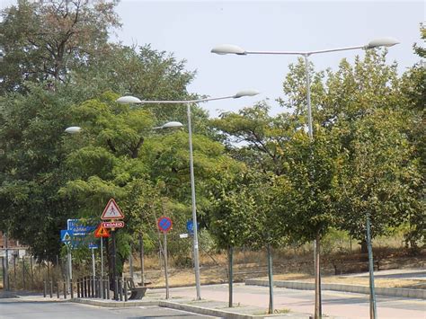 ΔΗΜΟΣ ΞΑΝΘΗΣ ΝΕΑ ΦΩΤΙΣΤΙΚΑ ΑΠΟ ΣΗΜΕΡΑ ΣΤΗΝ ΟΔΟ ΒΑΣΙΛΙΣΣΗΣ ΣΟΦΙΑΣandΣΤΗ