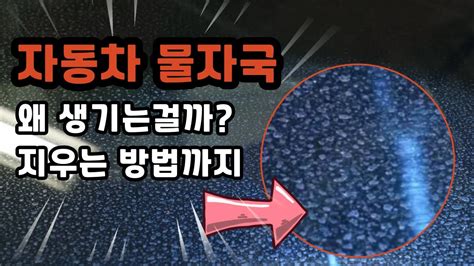자동차 물때 제거 단돈 만원으로 세차만드는방법 Youtube