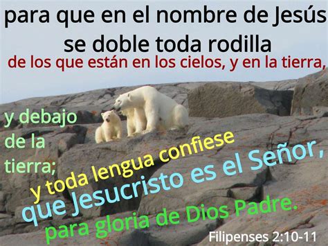 Bible Text Saturday 8 Online Puzzle