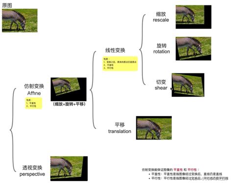 Yolo 数据增强之仿射变换affineand透视变换perspectiveyolo Perspective Csdn博客