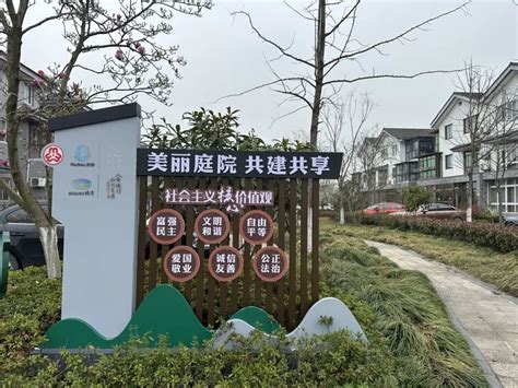 “村美、民富、人和”阜溪街道妇联提速提档，绘就美丽乡村画卷澎湃号·政务澎湃新闻 The Paper