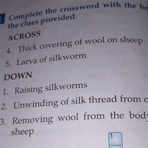 Please Give Me Answer