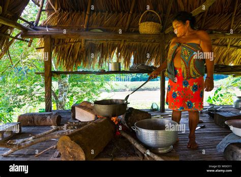 Embera Ethnic Group Community Chagres River Chagres National Park