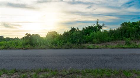 아스팔트 도로의 측면 보기 자연 배경 많은 나무와 녹색 잔디 우림에 대한 스톡 사진 및 기타 이미지 우림 도로 측면 보기
