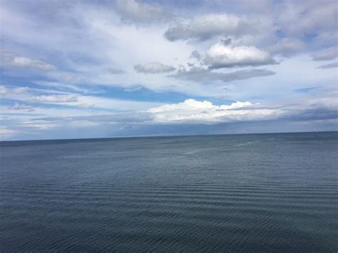 Kate Schmidt Readerkate Twitter