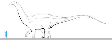 Apatosaurus Omnh 1670 Line Art By Oghaki On Deviantart