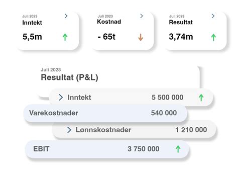 Funksjoner Capassa Din Digitale Cfo