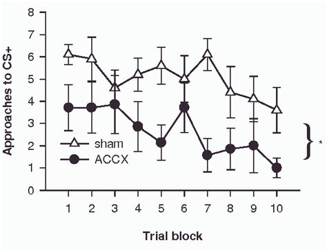 Figure 24 From Role Of The Anterior Cingulate Cortex In The Control Over Behaviour By Pavlovian