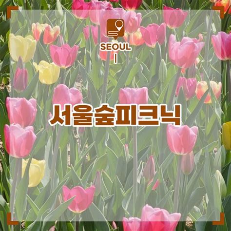 성수동 서울숲 튤립 벚꽃 사슴 놀거리 많은 서울 피크닉 장소 네이버 블로그