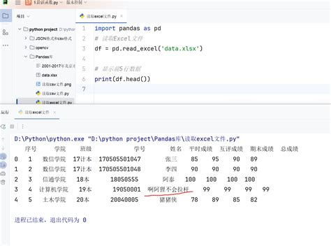 第十五章python的pandas库详解及常见用法pandas库有什么用 Csdn博客