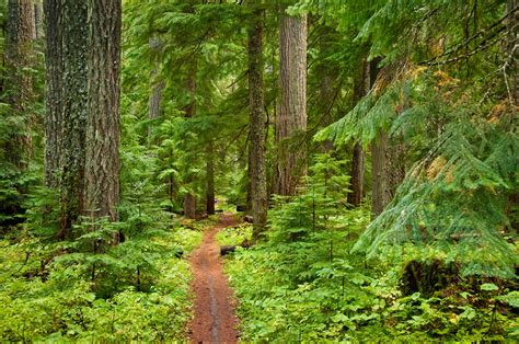 National Trails System Anniversary Wanders And Wonders