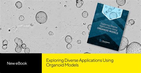 Incucyte® Live Cell Analysis Systems On Linkedin Livecellimaging
