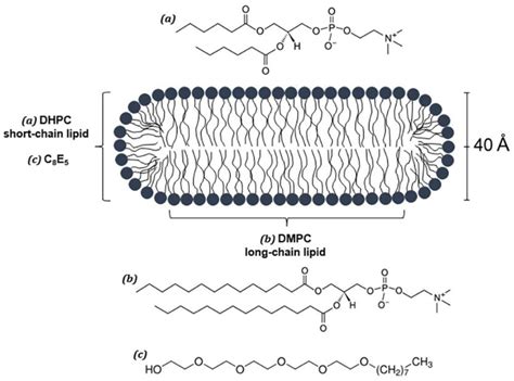 The Best Of Both Worlds A New Lipid Complex Has Micelle And Bicelle Like Properties Biorxiv