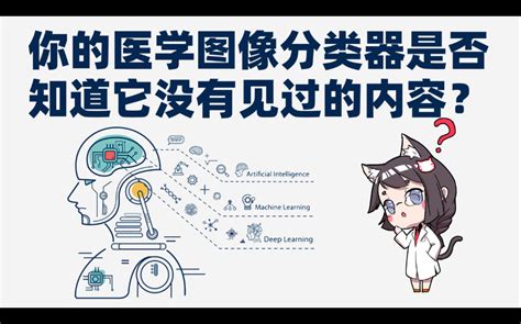 你的医学图像分类器是否知道它没有见过的内容？哔哩哔哩bilibili