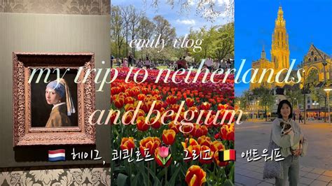 🇳🇱🇧🇪 여행 Vlog 2023 🇳🇱 네덜란드 헤이그 🌷튤립공원 쾨쾬호프 그리고 🇧🇪 벨기에 앤트워프 여행 With 반려견 토비 🐶 Youtube