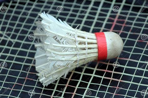 A Shuttle On A Racket With Light Black Background Stock Image Image Of Court Game 231727911