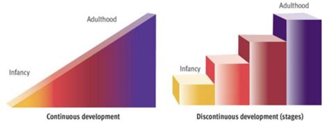 Psyc Lecture Theories Flashcards Quizlet