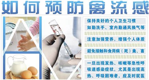 H7N9禽流感来袭 金羊网新闻专题
