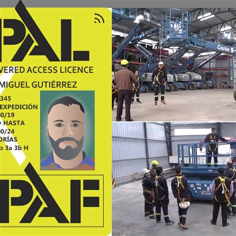 Curso Ipaf Curso Ipaf