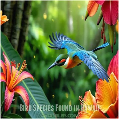 Birds Of Hawaii Explore Native And Exotic Species 2024 Guide
