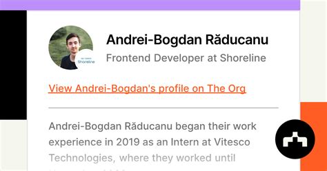Andrei Bogdan Răducanu Frontend Developer At Shoreline The Org