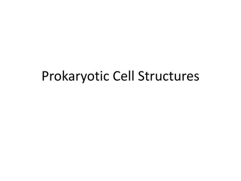 PPT Prokaryotic Cell Structures PowerPoint Presentation Free Download ID