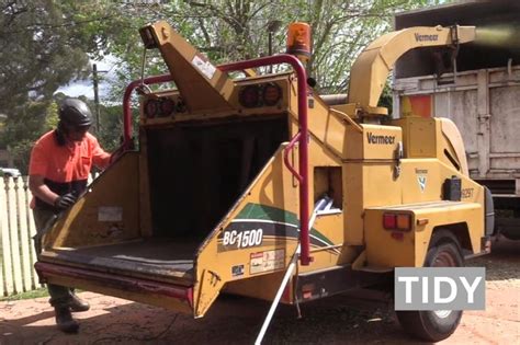 Redlands Tree Removal Fast Reliable Tidy