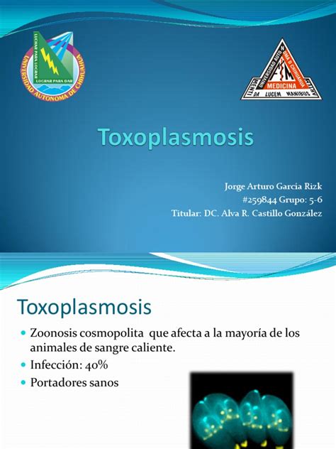 pdf toxoplasmosis pptx dokumen tips