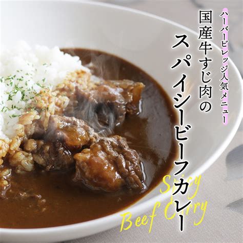 食べ比べ レトルトカレー 美食の駅＆巌流庵official Shop