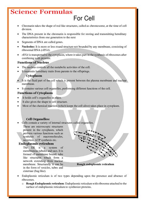 Class 8 Science Chapter Cell Short Notes And Formulas