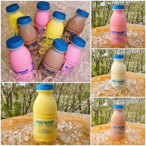 Komuniti Islam Telok Mas Bukit Katil Duyong Ayer Keroh Melaka Susu Legend