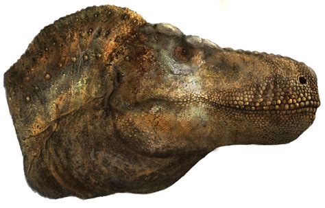 The Gossip Page A Kissable Tyrannosaurus Rex Scientists Now Think Lips Hid Dinosaur S Razor