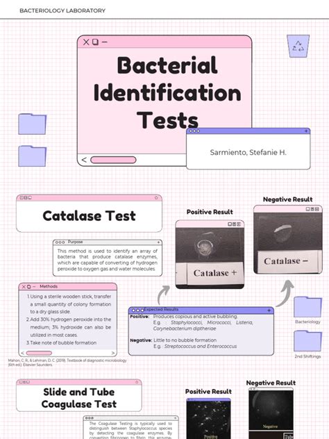Bacterial Identification Tests Pdf