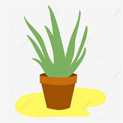 냄비에 알로에 베라 알로에 베라 냄비 식물 Png 일러스트 및 벡터 에 대한 무료 다운로드 Pngtree