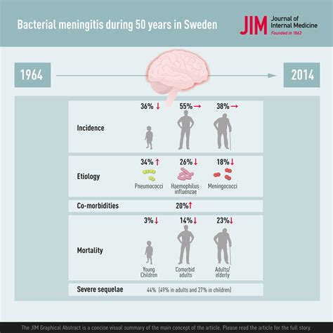 Bacterial Meningitis Cell Structure