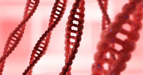 Mapping The Mysteries Of Microcephaly 11 Primary Autosomal Recessive